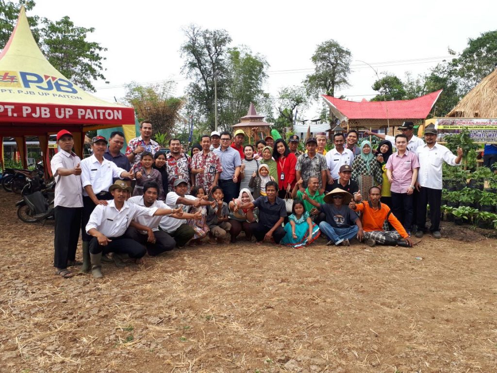 Pesona CSR Lokal di Mata Internasional - PT PLN (Persero)